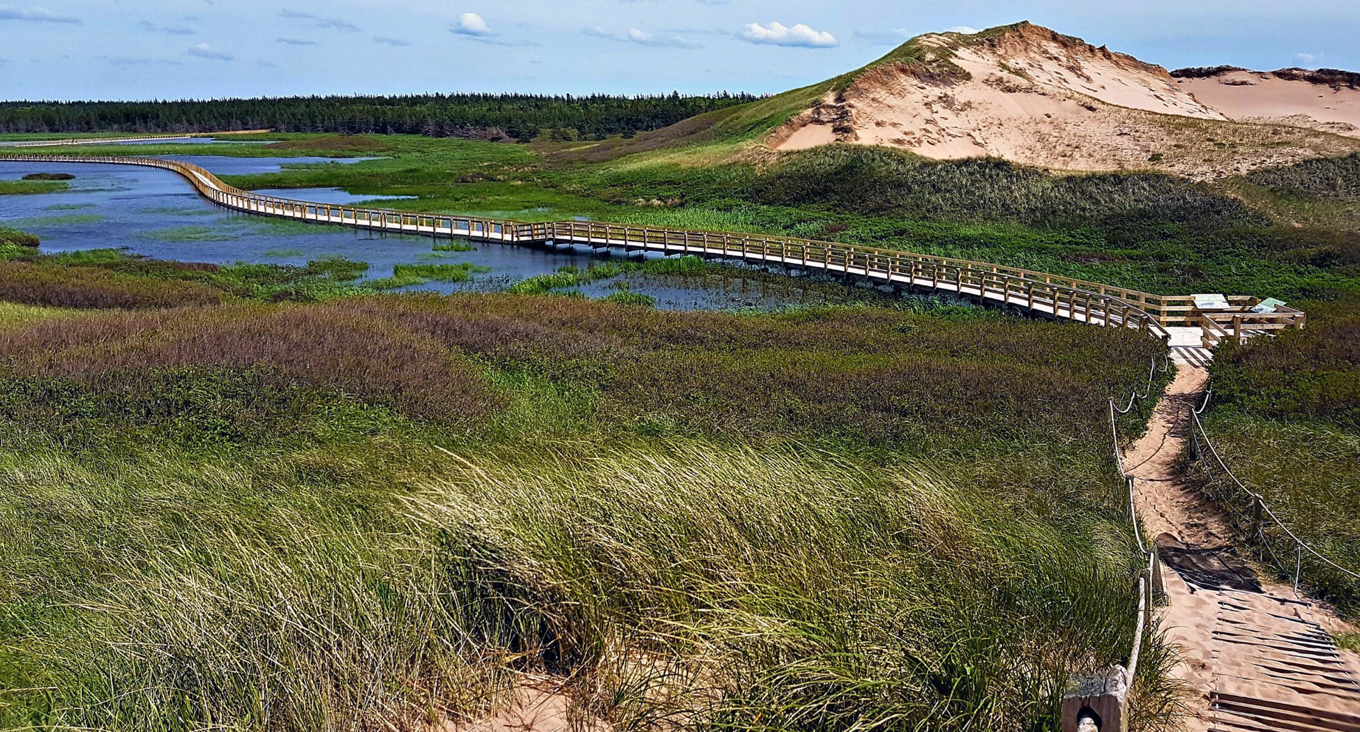 Serene Prince Edward Island: Coastal Pathways Walk
