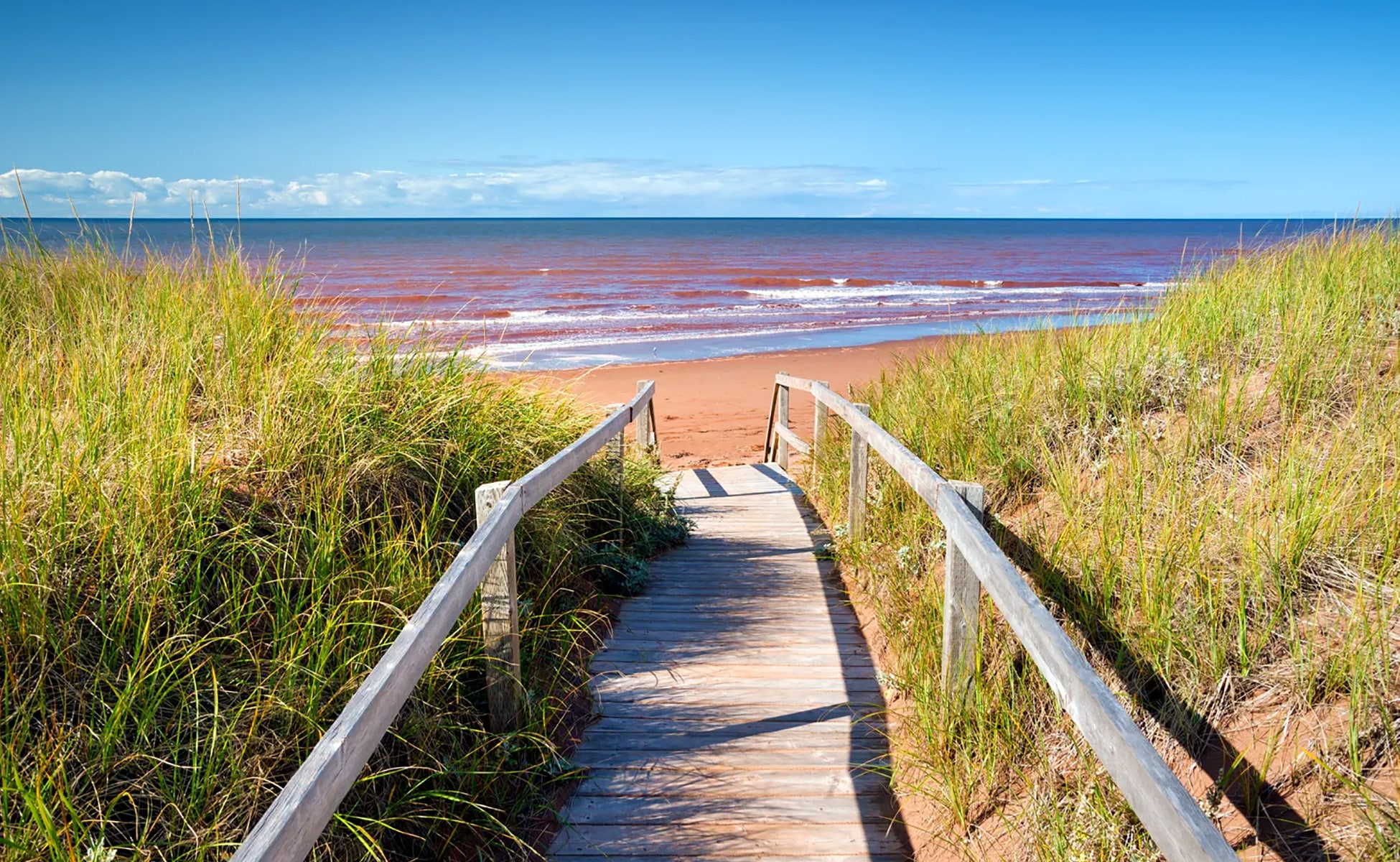 Prince Edward Island's The Island Walk Is Waiting For You!